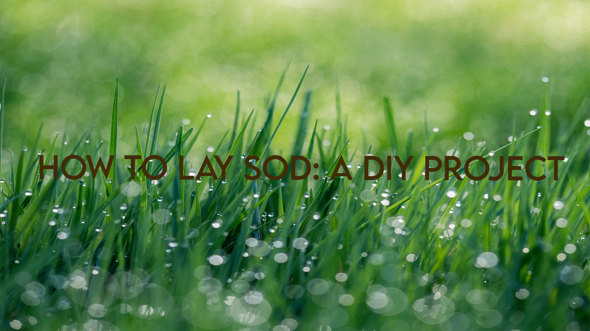 How to Lay Sod- Tips from Grovin Farms in Gainesville, FL